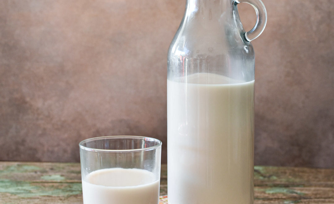 Lait végétal maison | Un Pas Plus Vert