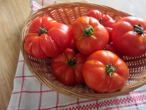 Sauce tomate maison à la vraie tomate du jardin | Un Pas Plus Vert